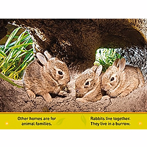National Geographic Kids Readers: Animal Homes (Prereader)