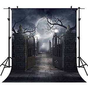 OUYIDA 10X10FT Halloween Theme Pictorial Cloth Customized Photography Backdrop Background Studio Prop TP17C