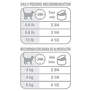 Royal Canin Feline Care Nutrition Appetite Control Thin Slices in Gravy Wet Cat Food, 3 Ounce Can (Pack of 24)