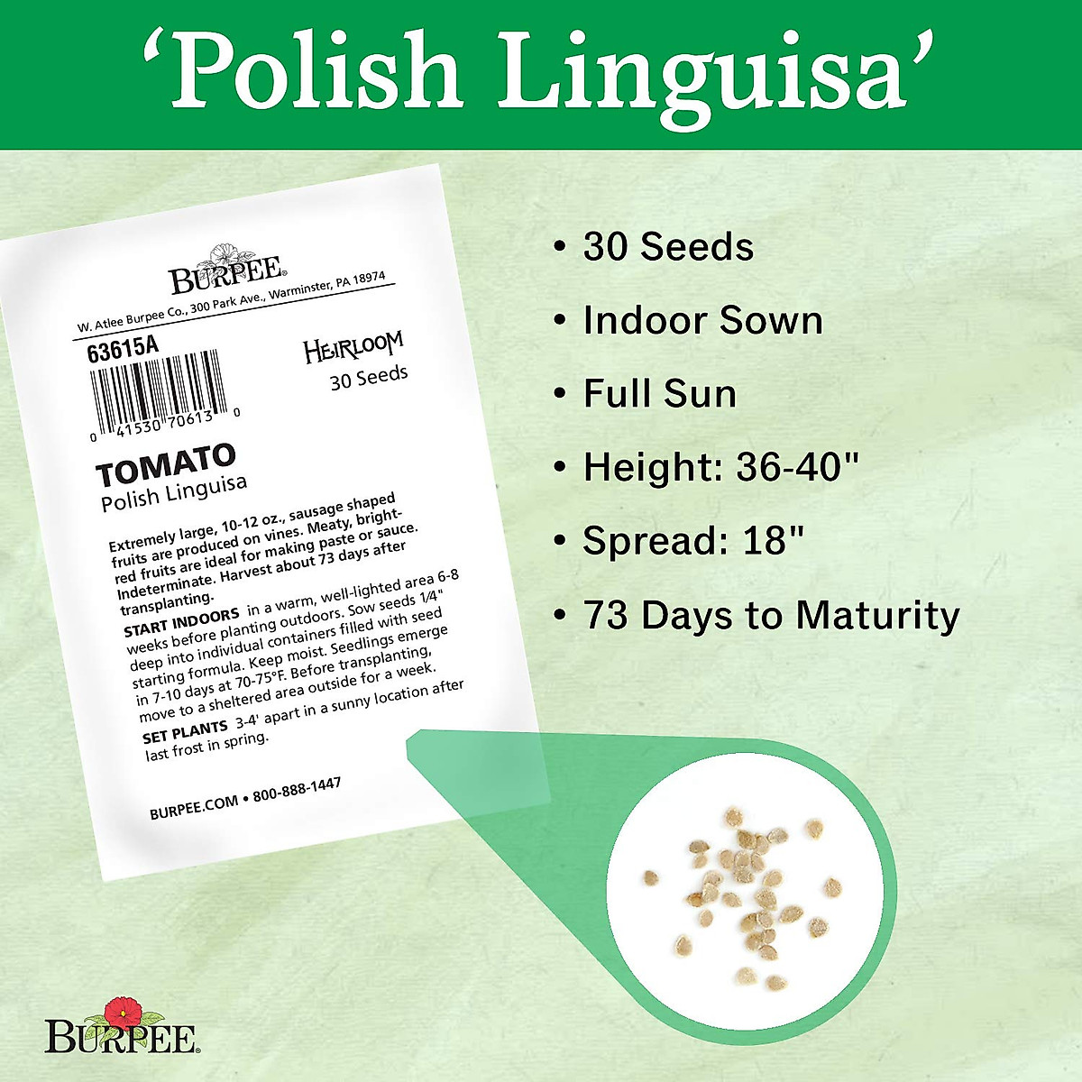 Burpee 'Polish Linguisa', Large Red Sauce & Paste Tomato, 30 Non-GMO Seeds