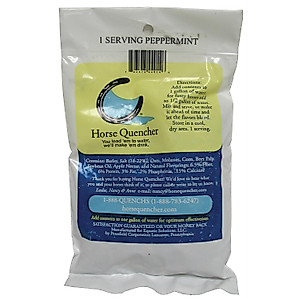 Horse Quencher Single Serving Travel Pack - Peppermint