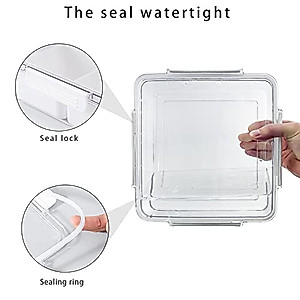 2pack Serving Trays for Party Divided Veggie Tray with Lid Sealed Sectioned Fruit Snack Serving Platter Vegetable Storage with 4 Compartments Snackle Box Charcuterie Container Fridge Organizer