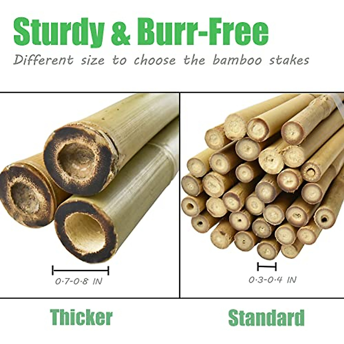 Jollybower 3/4" D Thicker Heavy Duty Bamboo Stakes,6FT Plant Stakes,Natural Garden Stakes for Tomato,Bean,Flowers,Trees Potted and Climbing Plant Support-Pack of 9 Bamboo Stick