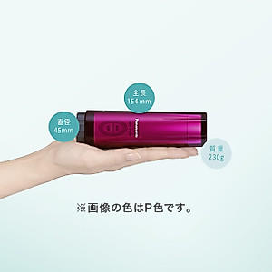 Panasonic portable bidet Handy De Toilette Violet DL-P300-V