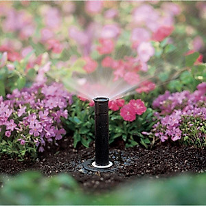 Rain Bird 8AP Adjustable Pattern Spray Nozzle, Adjustable 0° - 360° Pattern, 6' - 8' Spray Distance