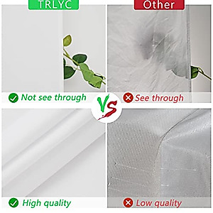 TRLYC White Photography Backdrop - 8.5 x 10 FT White Backdrops for Photoshoot with 4 Backdrop Clips Backdrops for Parties Curtain Photographic Studio Photo Backgrounds