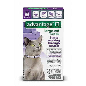 Advantage II Flea Control Large Cat (for Cats Over 9 lbs.) - 2 Month