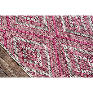 Madcap Cottage Lake Palace Rajastan Weekend Area, Indoor Outdoor Rug, 2' X 3', Pink