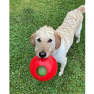 Jolly Pets Teaser Ball Dog Toy, Medium/6 Inches, Red