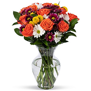 BENCHMARK BOUQUETS - Life is Good Orange (Glass Vase Included), Next-Day Delivery, Gift Mother’s Day Fresh Flowers