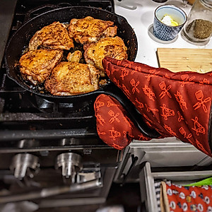 Funny Heat Resistant Oven Mitt Pot Holder Glove - Kitchen Gift for Women and Men - Cooking, Baking, BBQ and Animal Lovers (Grill Master)