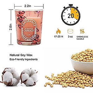 Scented Candles Gift Set for Home- Rose, Vanilla, Jasmine, Wolfberry&Blood Orange, Eucalyptus and Blue Campanula Aromatherapy Candles for Women Dinner Table, Wedding, Baby Shower