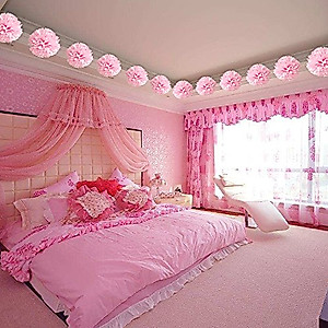 10pcs Tissue Hanging Paper Pom-poms Flower Ball Wedding Party Outdoor Decoration, Hmxpls Premium Tissue Paper Pom Pom Flowers Craft Kit(Pink)