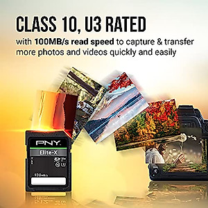 PNY 256GB Elite-X Class 10 U3 V30 SDXC Flash Memory Card - 100MB/s, Class 10, U3, V30, 4K UHD, Full HD, UHS-I, Full Size SD