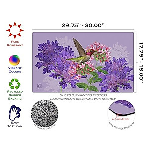 Toland Home Garden 800238 Hummingbird and Flowers Summer Door Mat 18x30 Inch Bird Outdoor Doormat for Entryway Indoor Entrance