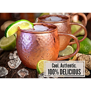 Willow & Everett Set of 4 Moscow Mule Copper Mugs with Copper Shot Glass - 4 16oz Copper Moscow Mule Mugs - Solid Copper Hammered Mug - Copper Cups for Moscow Mules