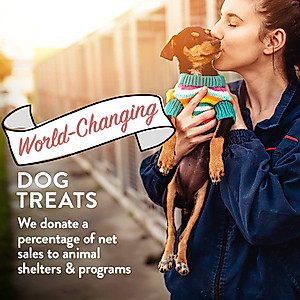 Crafted by Humans Loved by Dogs Portland Pet Food Company Grain-Free & Gluten-Free Biscuit Dog Treats (1-Pack 5 oz) — Pumpkin Flavor — All Natural, Human-Grade, Made in The USA