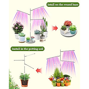 HAARAY Plant Grow Lights for Indoor Plants Full Spectrum, 3-Head LED Plant Growing Lamps with Height Adjustable and Rotatable Stand, 10 Dimmable Level, 3/9/12H Timer, 3 Switch Modes