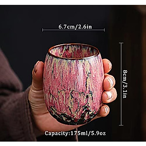 CteaTs Chinese/Japanese Style Ceramic Tea Cup Set Coffee Mug Asian Kung Fu Teacups Ceramic Yerba Mate Cup Set(5 Pack)