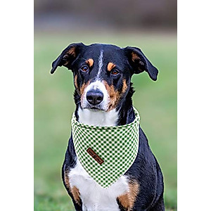 Lionet Paws Dog Bandana for Small Medium Large Dogs, Cat Dog Kerchief Dog Triangle Bibs Scarf for Girl or Boy