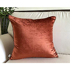 TARA- Sparkling Homes 18 x 18 inches Velvet Zari Embroidered Luxury Decorative Throw Pillow Cover 'Cleopatra' from The Royal Collection for Couch Living Room (Burnt Orange, 18 x 18 Inches)