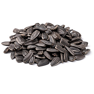 CountryMax Backyard Seeds Black Oil Sunflower for Wild Birds (50 Pounds)