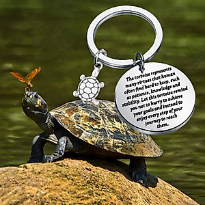 ENSIANTH Tortoise Keychain Tortoise Lover Gift Turtle Keychain Inspirational Gift for Friend (Tortoise Keychain)