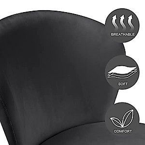 KithKasa Velvet Dining Chairs Set of 2 Upholstered Modern Kitchen Side Dinner Chairs with Golden Metal Legs for Vanity Dining Room, Black