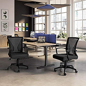 Tuoze Ergonomic Office Mid Back Mesh Chair Swivel Desk Chair Lumbar Support Computer Chair with Armrest (Black)