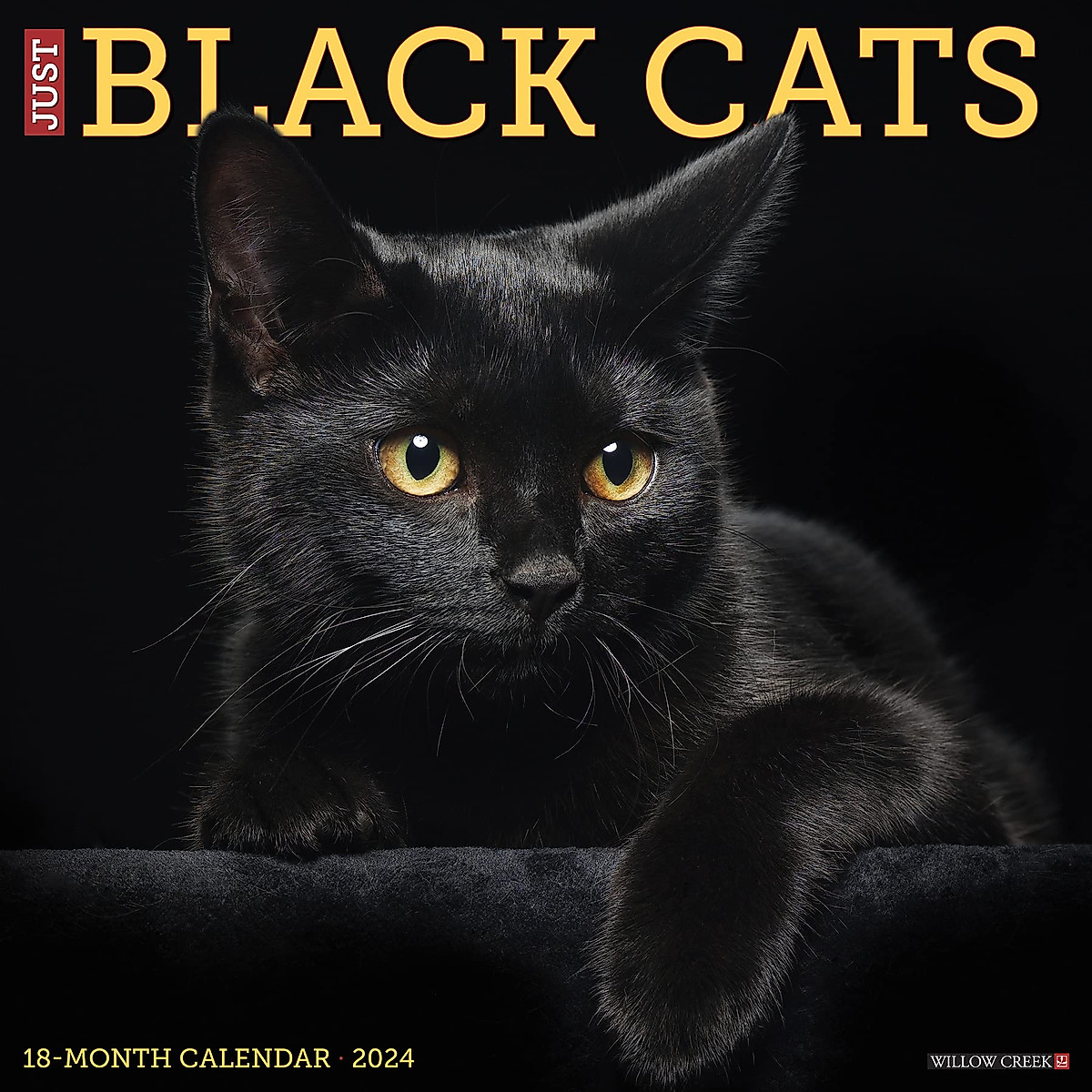 Willow Creek Press Black Cats Monthly 2024 Wall Calendar (12" x 12")