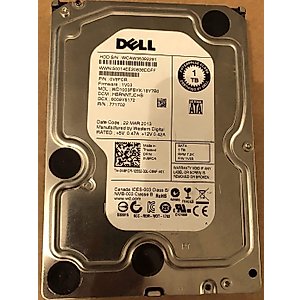 Western Digital WD1003FBYX-18Y7B0 1TB, Internal Hard Drive (Renewed)
