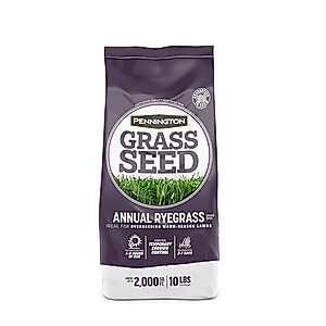 Pennington Annual Ryegrass Grass Seed 10 lb