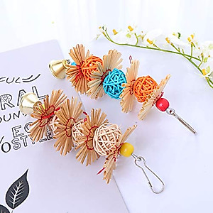 Scicalife 2pcs Parrot Biting Toy Hanging Rattan Ball Bell Parrot Cage Pendant Birds Playing ToyPet Gift