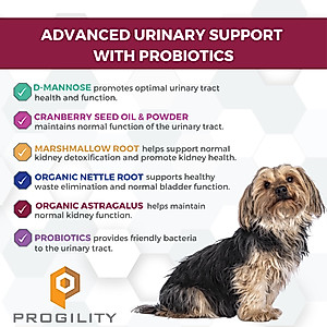 Nootie Progility Urinary Support Supplement for Dogs, Bladder Support and Urinary Tract Support for Dogs with Cranberry and D-Mannose, 90 Soft Chews per Container