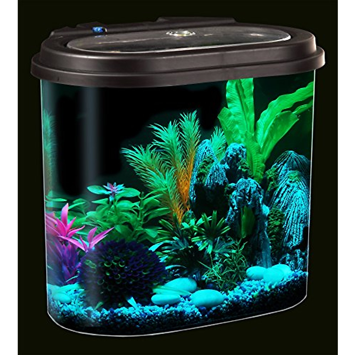 Koller Products AquaView 4.5-Gallon Aquarium Starter Kit with Full Filtration and LED Lighting - 7 Dazzling Colors to Select
