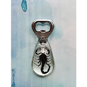 Real Black Scorpion Insect Specimens Built in Beer Wine Bottle Opener, Animal Taxidermy Collection，Opener Crafts (Scorpion[Clear])