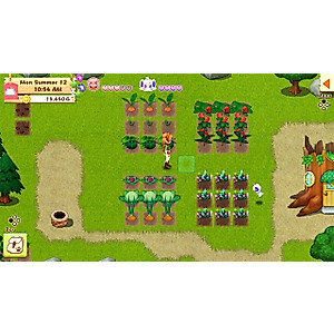 Harvest Moon: Light of Hope SE Complete - Nintendo Switch