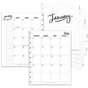 BetterNote 2024 Monthly Calendar Refill with Tabbed Dividers for Discbound Notebooks, Index Tabs, Disc, Pages Fit Happy Planner, Circa Levenger, Arc, TUL, IWP, Talia (Whimsy, 11-Disc, 8.5"x11")