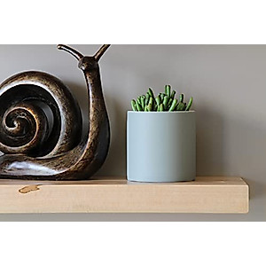 Urban Legacy Modern Hardwood Floating Accent Shelves | Set of 2 | Wormy Maple | Furniture Grade Clear Coat | Amish Handcrafted, Lancaster, PA (48" x 7" x 2")