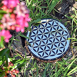 Orgonite Crystal Water Charging Plate with Black Tourmaline Healing Crystals and Flower of Life –Orgone Charging Coaster for Spiritual Cleansing and E-Energy Protection (90mm)