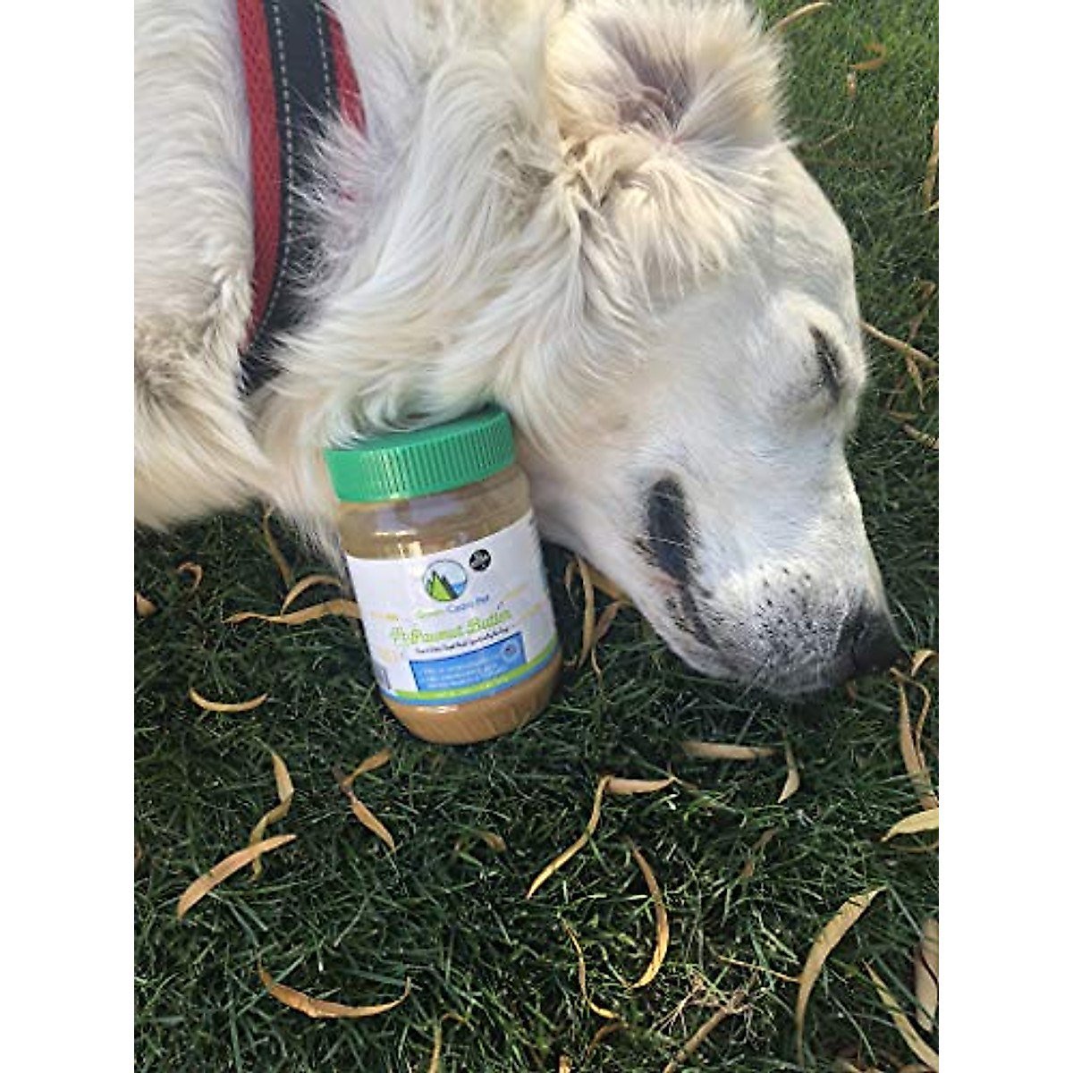 Green Coast Pet Pawnut Butter