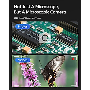 USB Digital Microscope, SKYEAR 50X-1600X Magnification Handheld Digital Microscope Compatible with iOS & Android Devices, Adjustable Stand, 8 LED Lights, Portable Microscope Camera for Adults, Kids