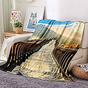 NARBOR Soft Fleece Throw Blanket - Fluffy Microfiber Solid Blankets for Bed and Couch Double/Single Size - 59X79Inch Beach Wooden Stairs Printed Flannel Blanket for Bed, Couch and Sofa
