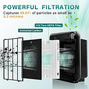 AP-1512HH Air Filter Replacement Set Compatible with Coway Airmega AP-1512HH and Airmega 200M Air Purifi-er, 2 True HEPA Filter and 4 Activated Carbon Pre-Filters, Compared to Part # 3304899