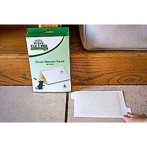 20-Pack Glue Traps by Eco Pro Pest Control | Non-Toxic Glue Traps for Bugs, Cockroaches, Ants, Spiders, Crickets, & Mice | Max Adhesive Strength Mouse Glue Trap | Indoor & Outdoor Pest Glue Traps