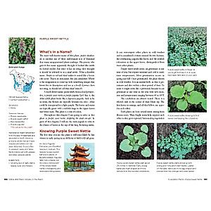 Edible Wild Plants, Volume 2: Wild Foods from Foraging to Feasting (Wild Food Adventure)