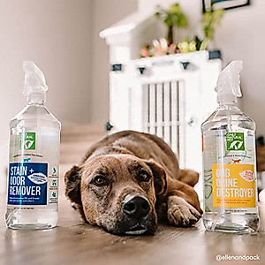 Only Natural Pet Enzyme Powered Stain & Odor Eliminator - Professional Pet Urine Pee Cleaner Deodorizer For Dogs - Hardwood Floors Carpets Upholstery - Fresh Mandarin Orange & Green Tea Scent - 32Floz