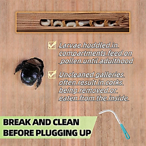 Tensland 218 Pieces 3-in-1 Carpenter Bee Holes Repair Kit, Small Medium Large Wood Bee Hole Plugs, Carpenter Bee Corks Set, 3-Step Total Fix Solution