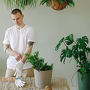 GANAZONO Floral Tape 3 Rolls Grafting Tapes Self- Adhesive Garden Plant Repair Tapes Barrier Stretchable Clear Floristry Grafting Film for Garden Nursery Fruit Trees Budding Tree Use Clear Tape