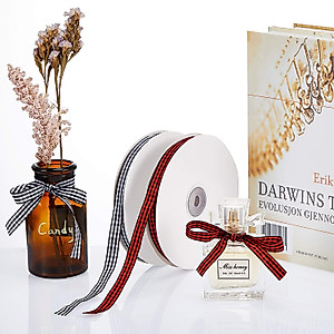 100 Yards Easter Gingham Ribbon - 3/8 Inch Wide Checkered Ribbons for Hair, Craft Decoration & Gift Wrapping - Valentine's Day - 2 Rolls (Red & Black, Black & White)